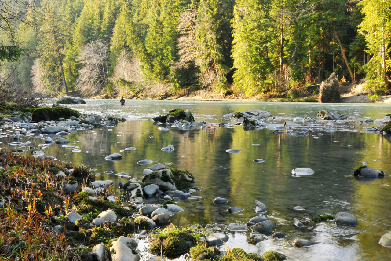 Salmon Recovery Funding Board (SRFB) | Coast Salmon Partnership