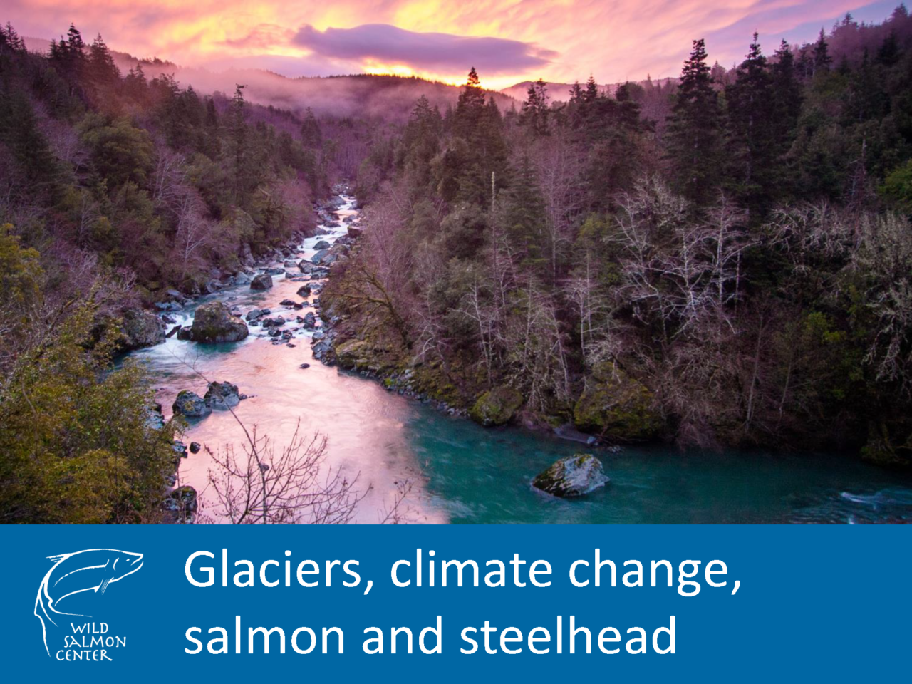 Climate Intro | Coast Salmon Partnership