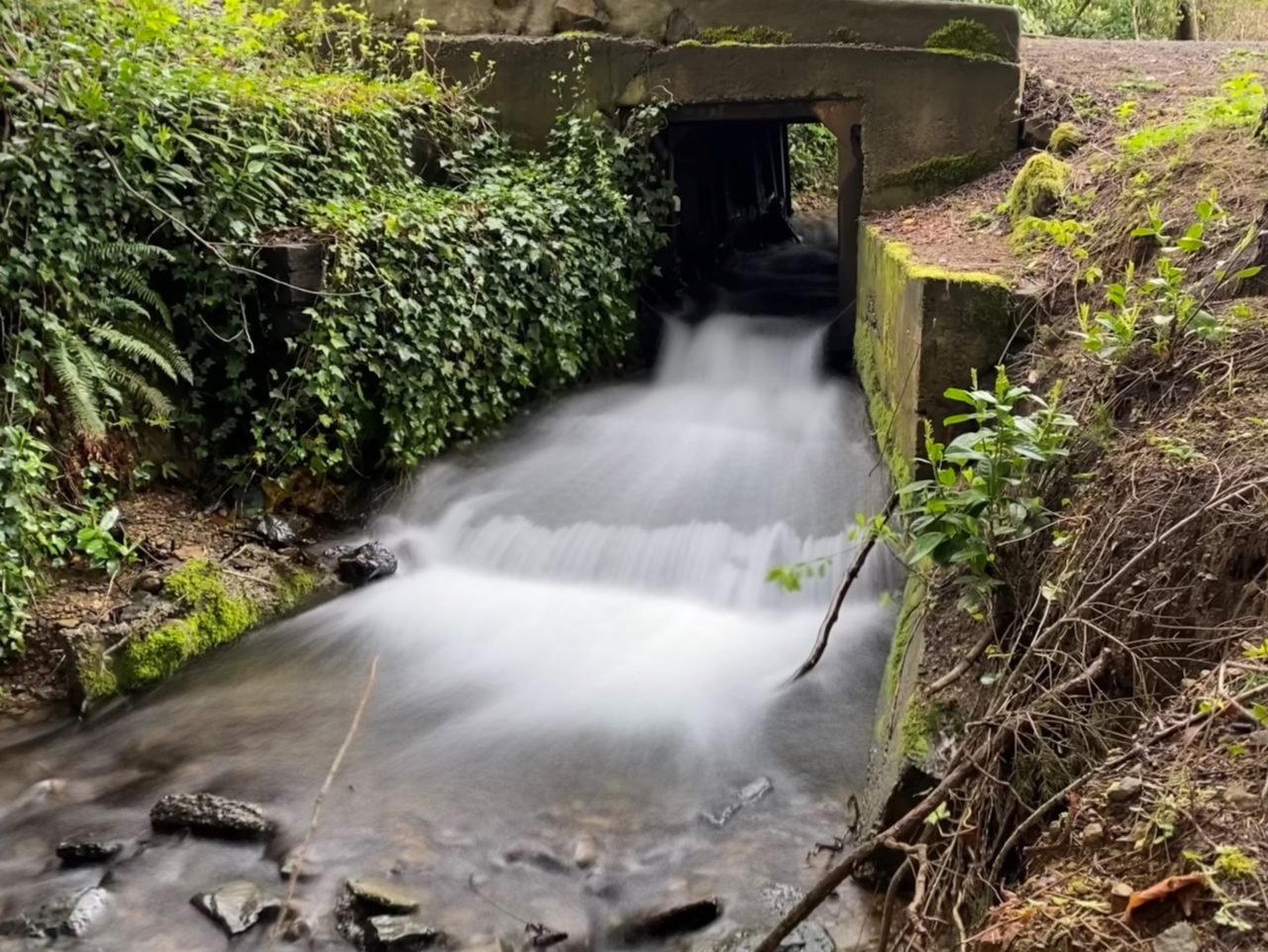 Restoring Fish Passage Through Barrier Removal | Coast Salmon Partnership